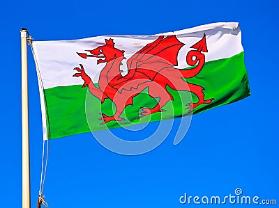 Welsh Flag Royalty Free Stock Image - Image: 23921226