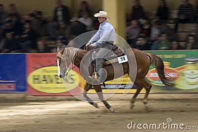 Western Riding Competition Editorial Stock Photo - Image: 5180553