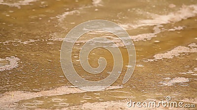 Wet Mud in the fields stock video. Video of ground, shoots - 56207323