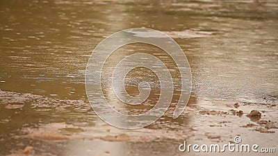 Wet Mud in the fields stock video. Video of adventure - 56208297