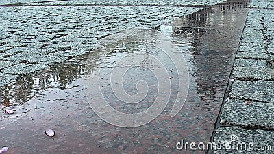 Wet Reflective Pavement in Rain Stock Video Footage - Video of drops ...