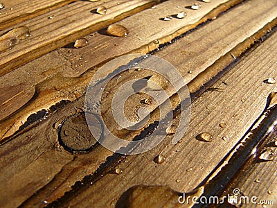 Wet Wood Stock Photography - Image: 158832