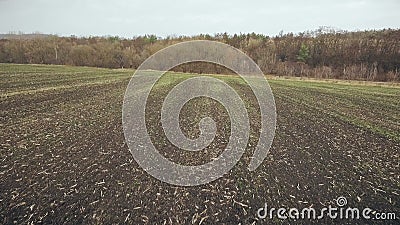 Wheat Field With A Small Bird S Eye View Autumn Stock Video - Video of ...