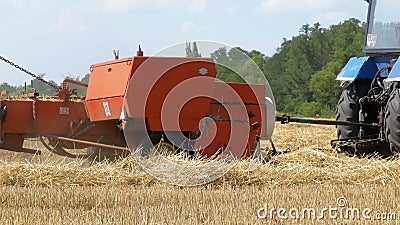 Wheat Harvest. Combine Unloading Wheat into a Tractor Trailer during ...