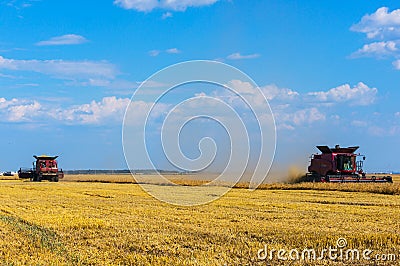 Wheat harvest - Stock Image - Everypixel