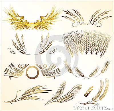 Collection of Design Elements. Wheat Stock Vector - Illustration of ...