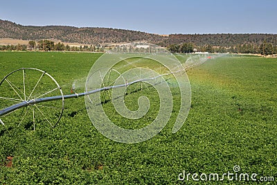 Wheel Line Irrigation System Royalty Free Stock Photo - Image: 14222155