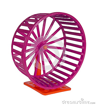 Wheel For Rodents Royalty-Free Stock Image | CartoonDealer.com #29500096