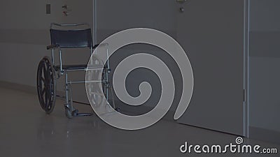 Disabled carriage stock footage. Video of disabled, carriage - 235724518