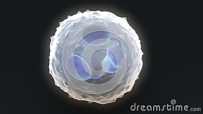 White Blood Cells Stock Photo | CartoonDealer.com #84223445