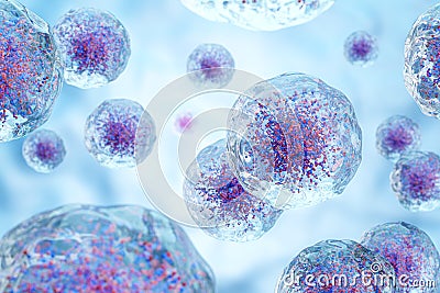 White Blood Cells With Nucleus And Granule . Transparency Cell Membrane ...