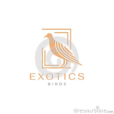 White-breasted Waterhen Logo Design Cartoon Vector | CartoonDealer.com ...