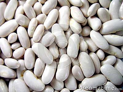 White Haricot Beans Stock Photos - Image: 3065163