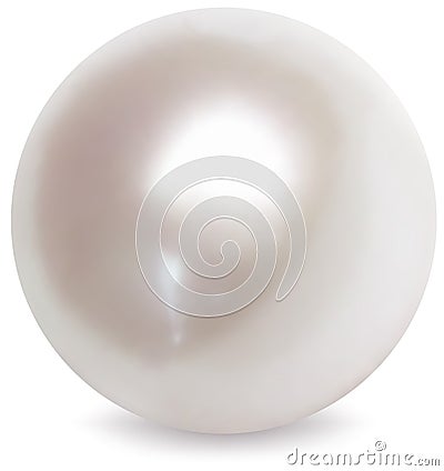 White Pearl. Vector Illustration Stock Photo - Image: 31657580