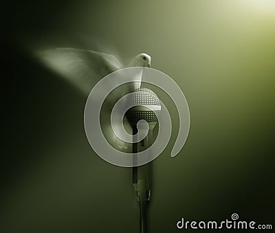 White Pigeon Stock Photo - Image: 1206850