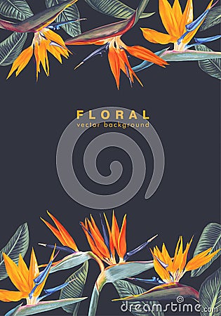 Botanical Frame Of Tropical Strelitzia Reginae, Tropical Flowers And Leaves. Vector Illustration ...