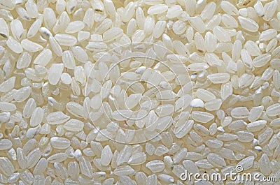 White Rice Seeds Texture Royalty-Free Stock Photography | CartoonDealer ...