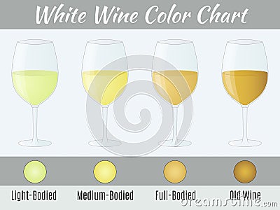 White Wine Color Chart. Stock Vector - Image: 61871512