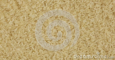 Whole Rice Grain Background, Texture. Rotation and Zoom Out of Grain ...