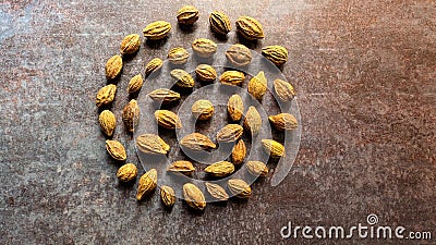 Whole Terminalia Chebula Fruit Stock Footage - Video of herb, harar ...