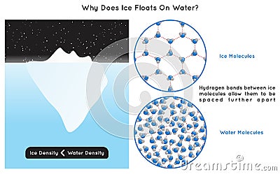 Why Does Ice Float On Water Infographic Diagram Vector Illustration ...