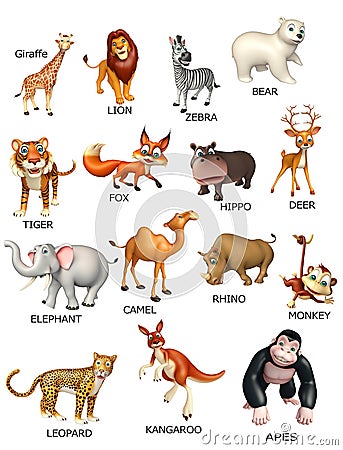 Wild Animal Chart Stock Illustration - Image: 70045473
