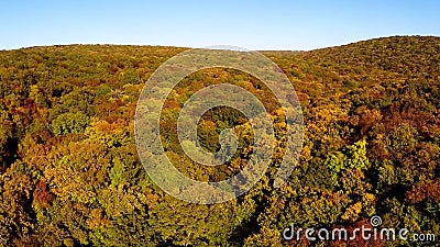 Wild Balkan Forest in Autumn Colors Stock Video - Video of autumn ...