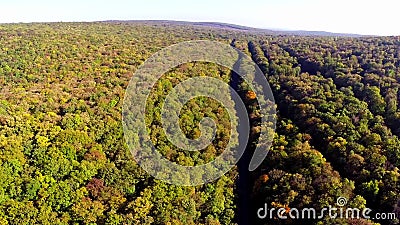 Wild Balkan Forest in Autumn Colors Stock Video - Video of autumn ...