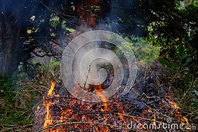 Wildfire, Bushfire, Wildland, Rural Fire Unplanned, Uncontrolled And ...