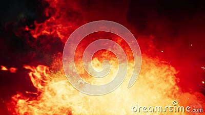 Wind Blowing on a Flaming Trees during a Forest Fire Stock Footage ...