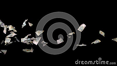 Wind Blowing Money stock video. Video of business, romanian - 63877129