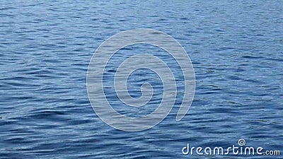 Wind Making Large Ripples in the Water Stock Video - Video of nature ...