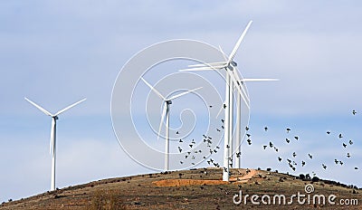 Wind Turbines And Birds Royalty-Free Stock Photography | CartoonDealer ...