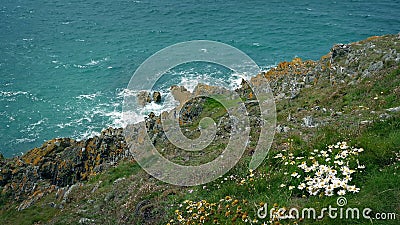 Windswept Grassy Cliffs by the Sea Stock Footage - Video of beach ...