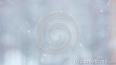 Winter Blurry Snow Background. Stock Video - Video of fresh, light ...