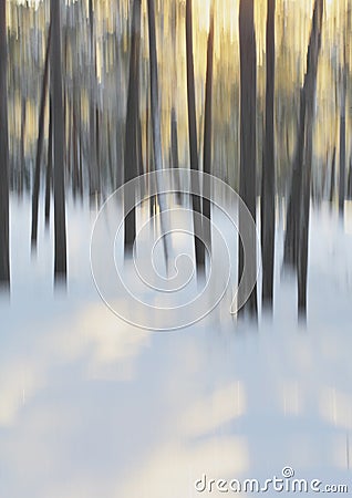Winter Forest Royalty Free Stock Photography - Image: 17112497