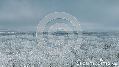 Winter Forest with a Bird`s Eye View Stock Footage - Video of birdseye ...