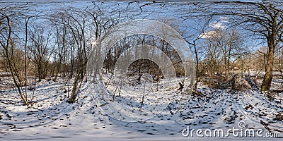 Winter Full Spherical Hdri 360 Degrees Angle View Panorama In Bushes In ...