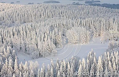Winter Lanscape In Finland Stock Photo - Image: 23494140