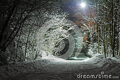 Winter bridge stock photo. Image of december, chilly, frozen - 1960138