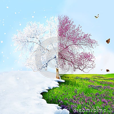 From Winter To Spring Stock Photo - Image: 52617943