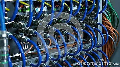 Wires, Lightbulbs and Computer Parts in Render Farm Stock Footage ...