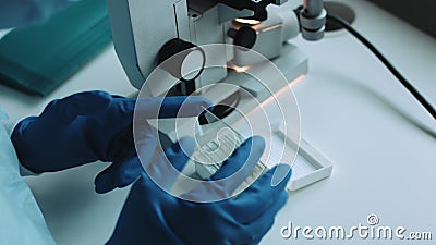 Wissenschaftler, Der Im Labor Mit Proben Arbeitet Stock Footage - Video ...