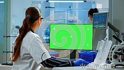 Woman Researcher Typing At Computer With Green Screen Mockup Display ...