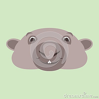 Wombat Face Vector Illustration Flat Style Front | CartoonDealer.com ...