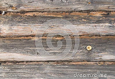 Rough Sawn Wood Wall stock photo. Image of design, natural - 14650612