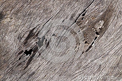 Wood Decay Background Royalty-Free Stock Image | CartoonDealer.com ...