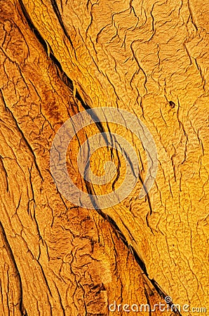Wood Grain Royalty Free Stock Photos - Image: 34606868