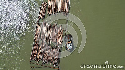 Wood Logs from the Timber Industry Floating Down a River in Vancouver ...