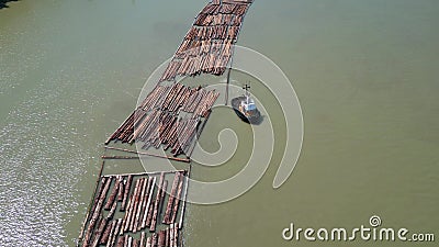 Wood Logs from the Timber Industry Floating Down a River in Vancouver ...